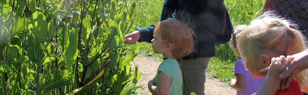 Daycare and Pre-K Field Trips - Aldo Leopold Nature Center