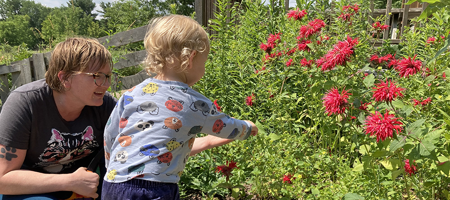 Wonder Bugs - Aldo Leopold Nature Center